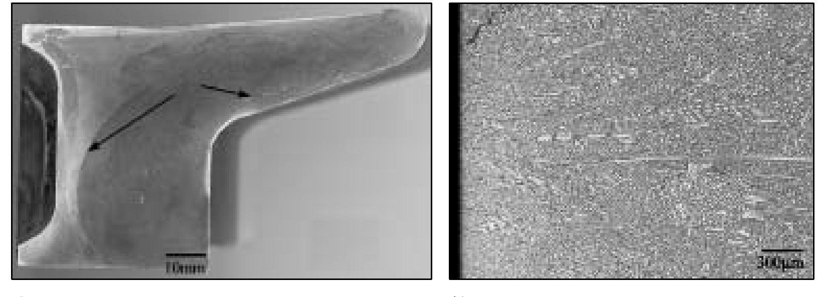 A) cross sectional micrograph from the biscuit. interfaces