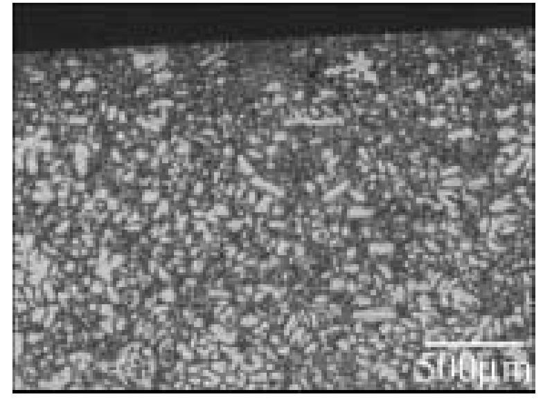 Microstructure of gate-section with dendrite fragments