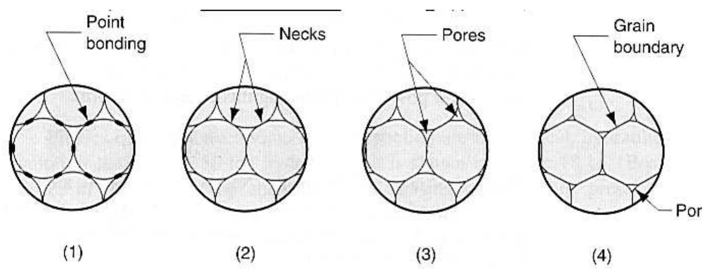 Sintering on a microscopic scale. the illustration shows