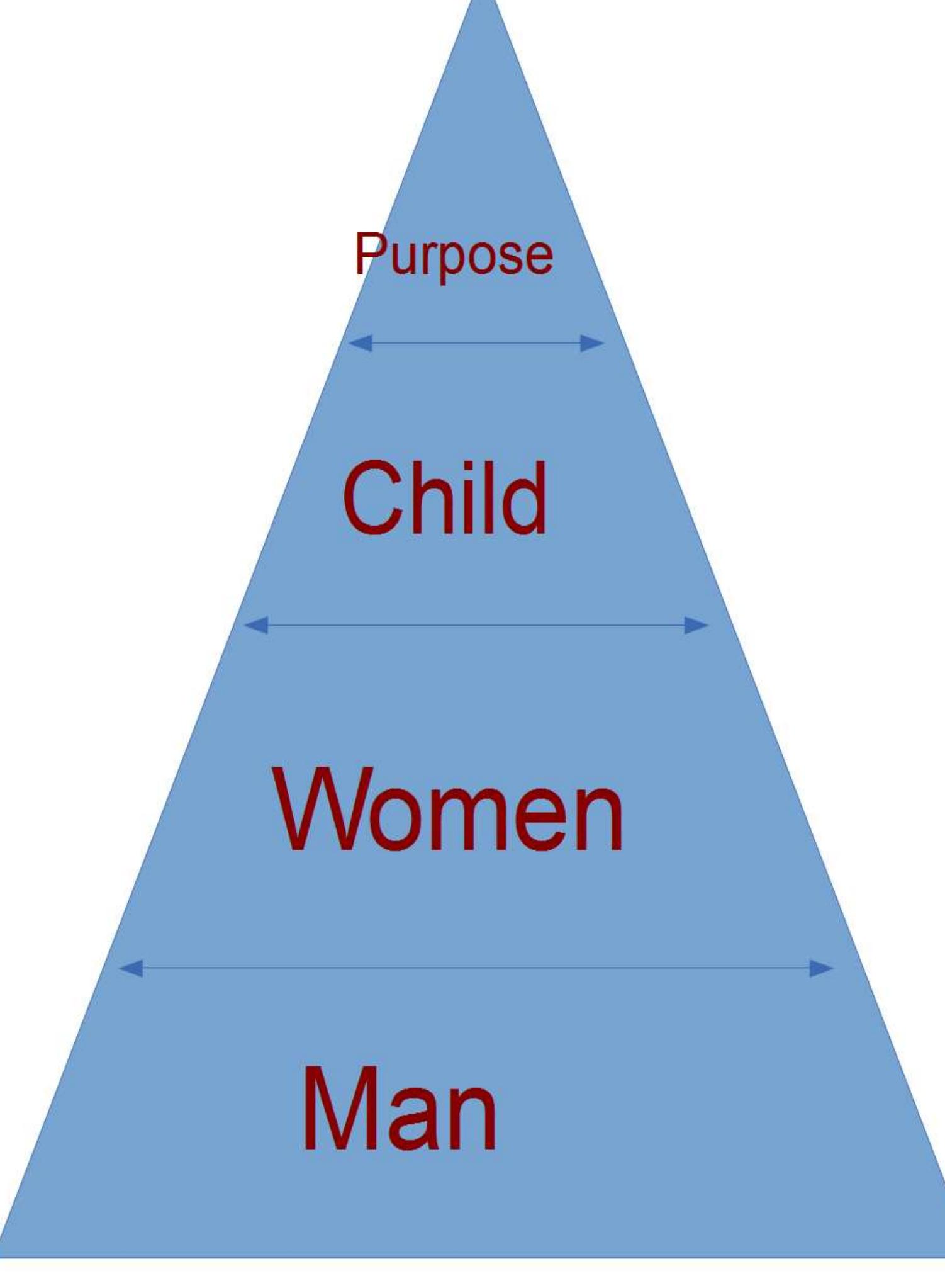 Figure 68 - The Organic Theory of Society