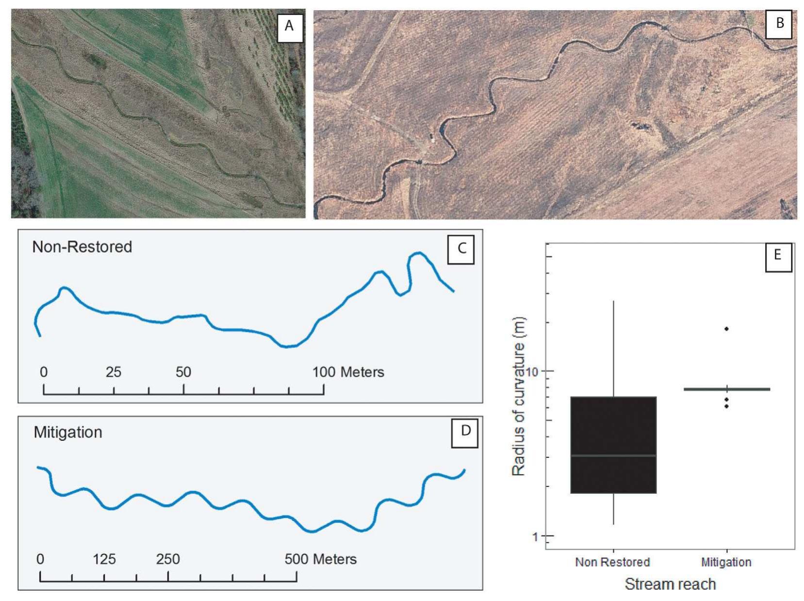 (a and b) examples of restored stream morphology (images