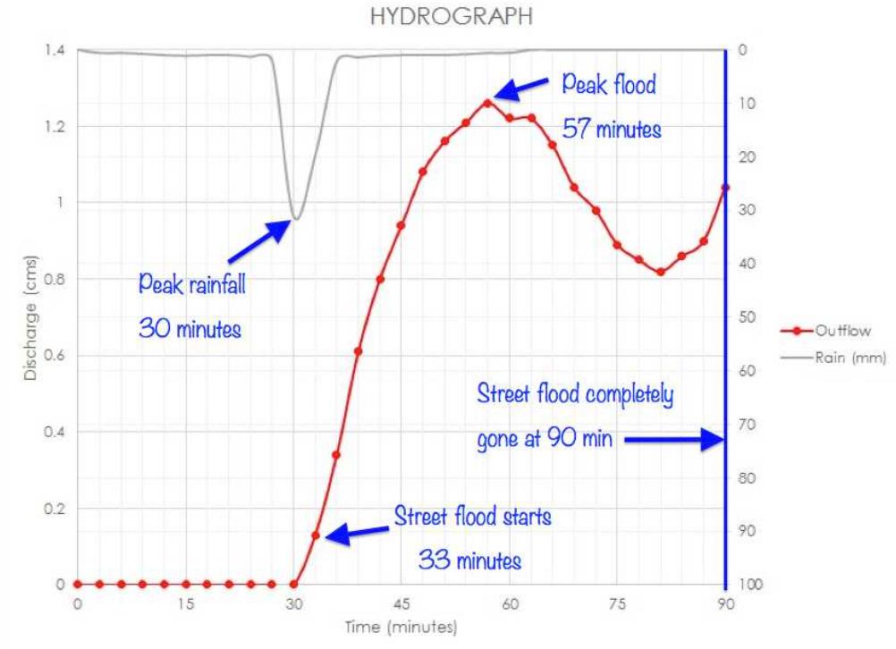 Rainfall hyetograph and runoff hydrograph for the simulation