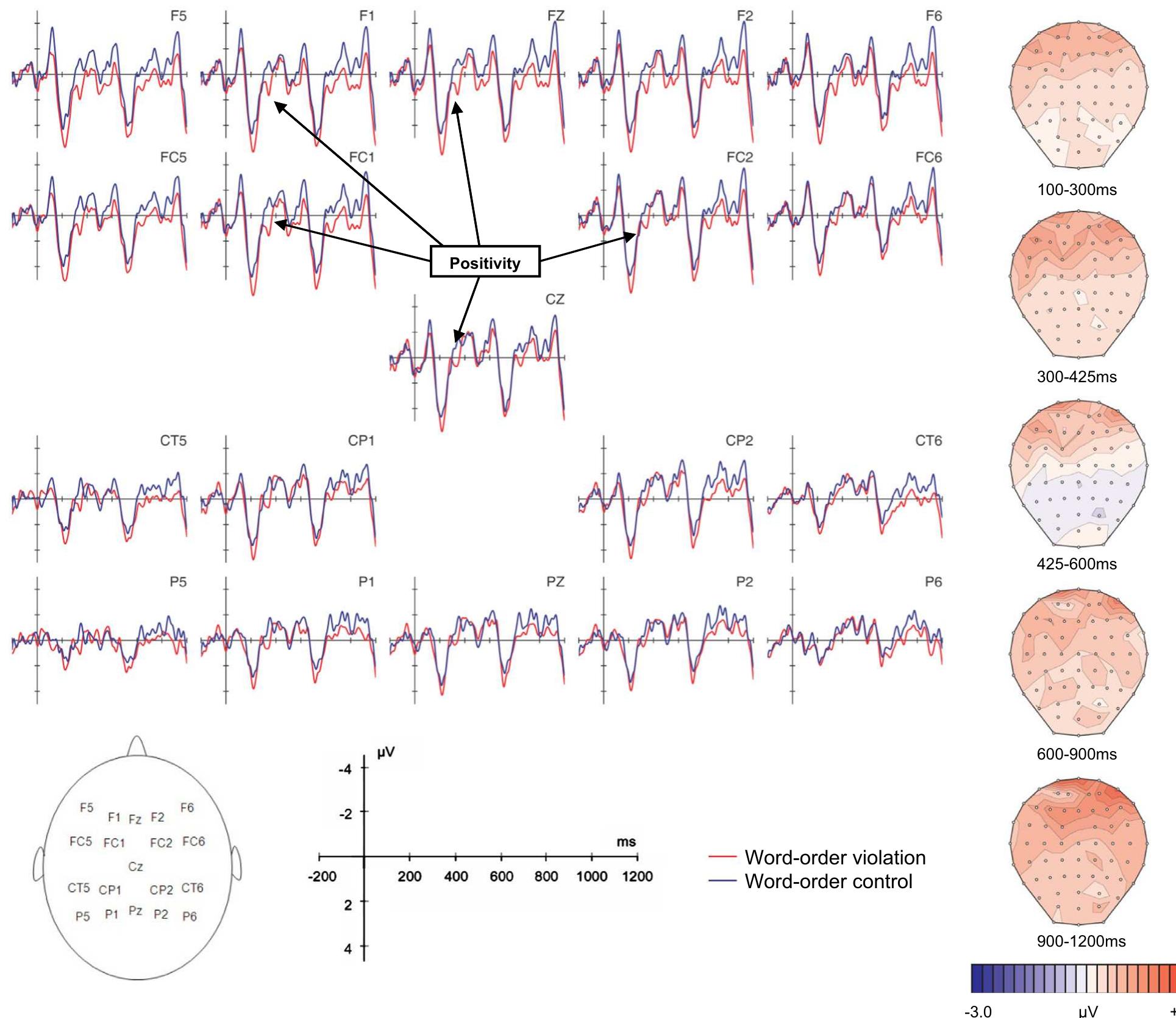 Word-order violations in l2 low. average erp waveforms for