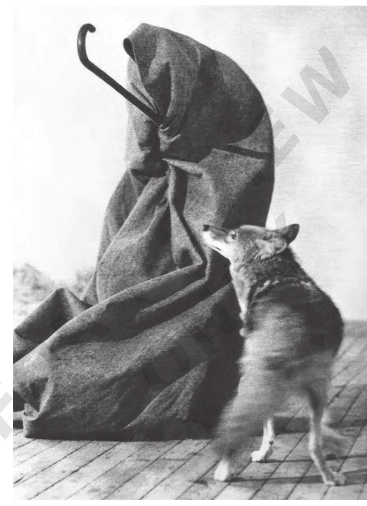 2. caroline tisdall. photograph of joseph beuys’ action,