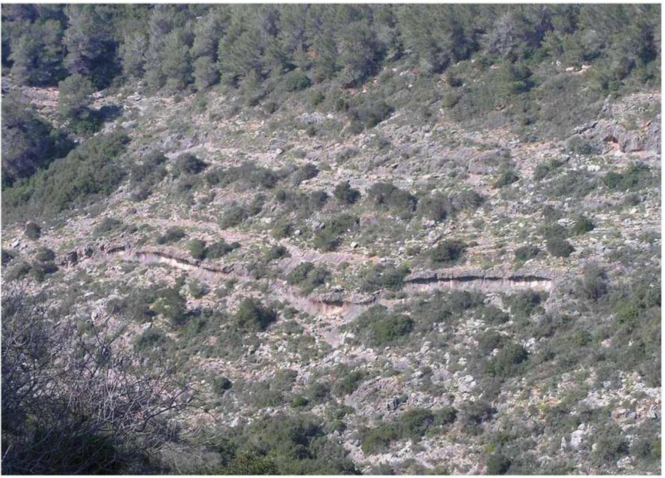 The longest notch of mt. carmel, cut into dolomite, is