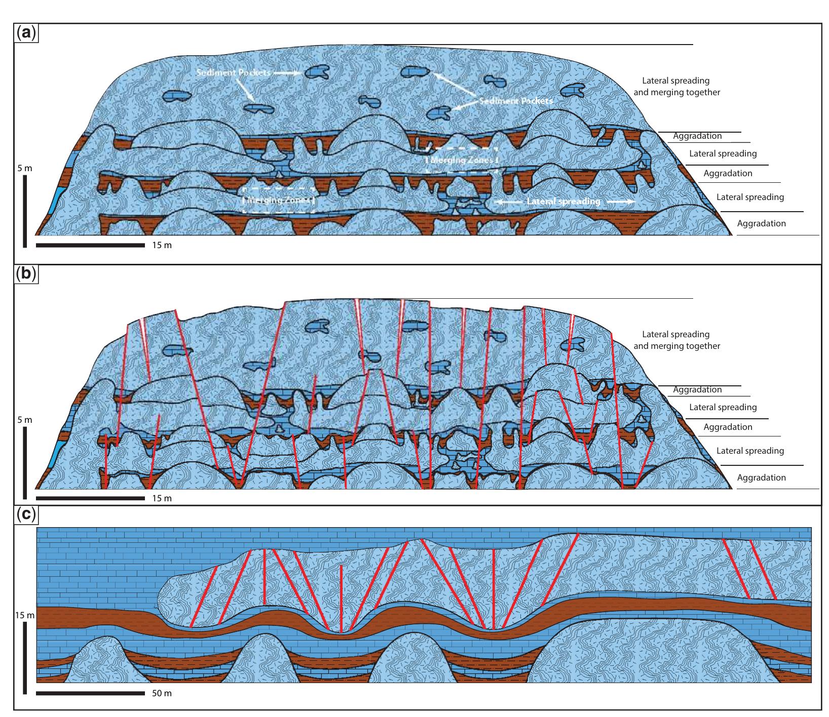 (a) schematic model of a composite bioherm. (b) schematic