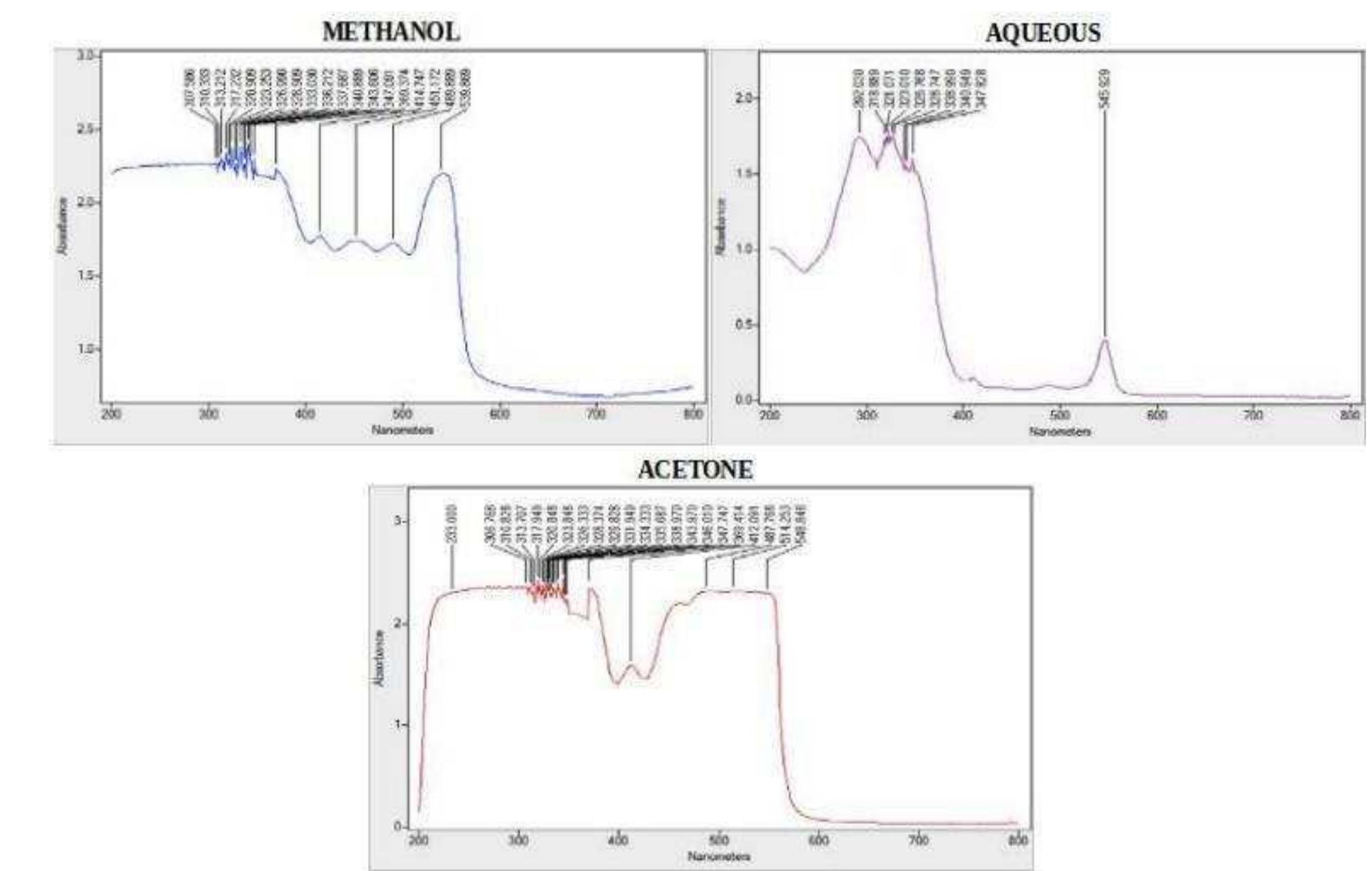 Uv-vis spectrum of h. suaveolens methanolic, aqueous and