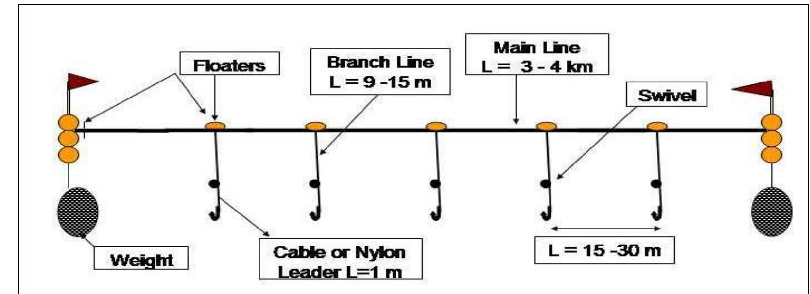 A6.2. typical gear design of a peruvian pelagic longline.