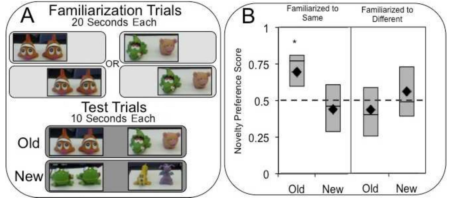 (a) schematic of experiment 1. during familiarization