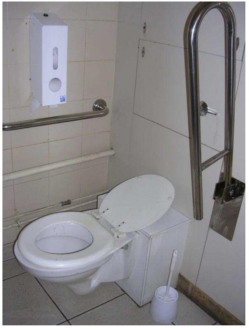 Toilets without backrests may be difficult for some users.