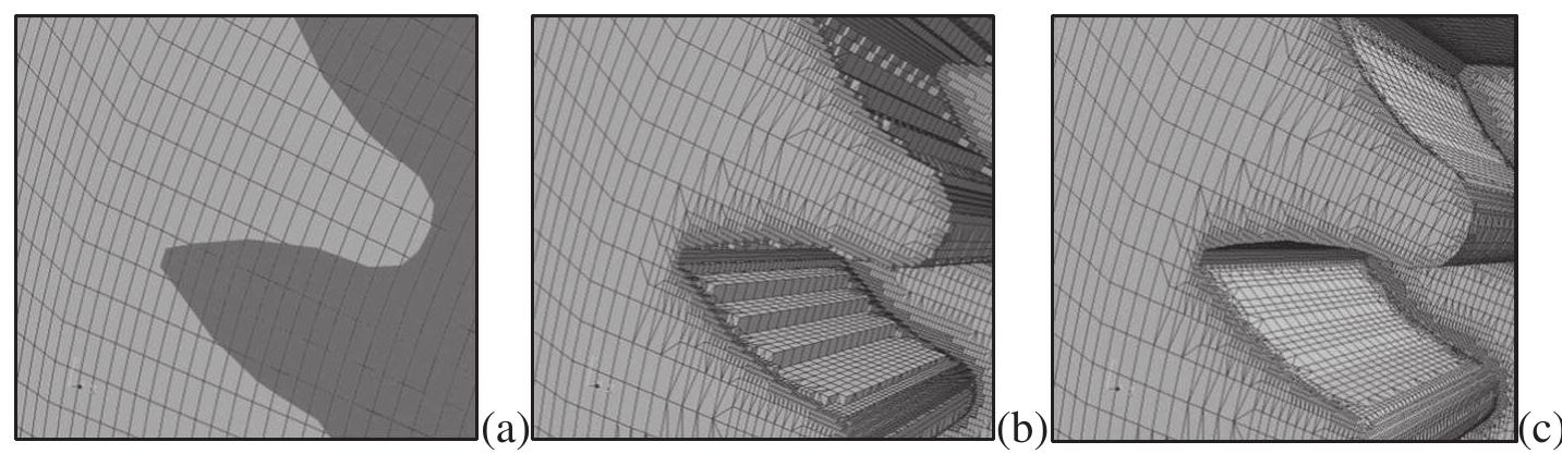 Steps of the meshing process: (a) geometry (stl) overlapping