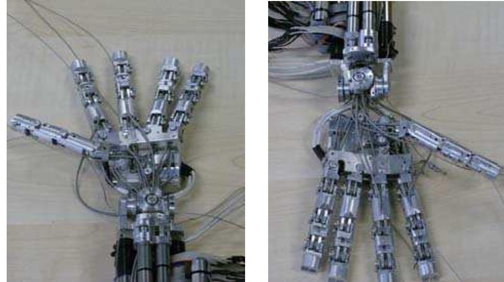 The hand of the icub, showing the routing of the tendons
