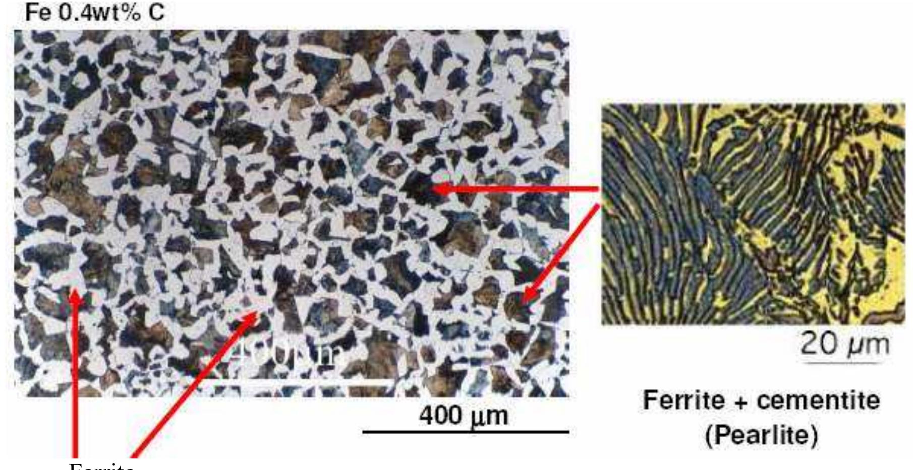 Typical microstructure of 0.4%c steel, revealed ferrite and