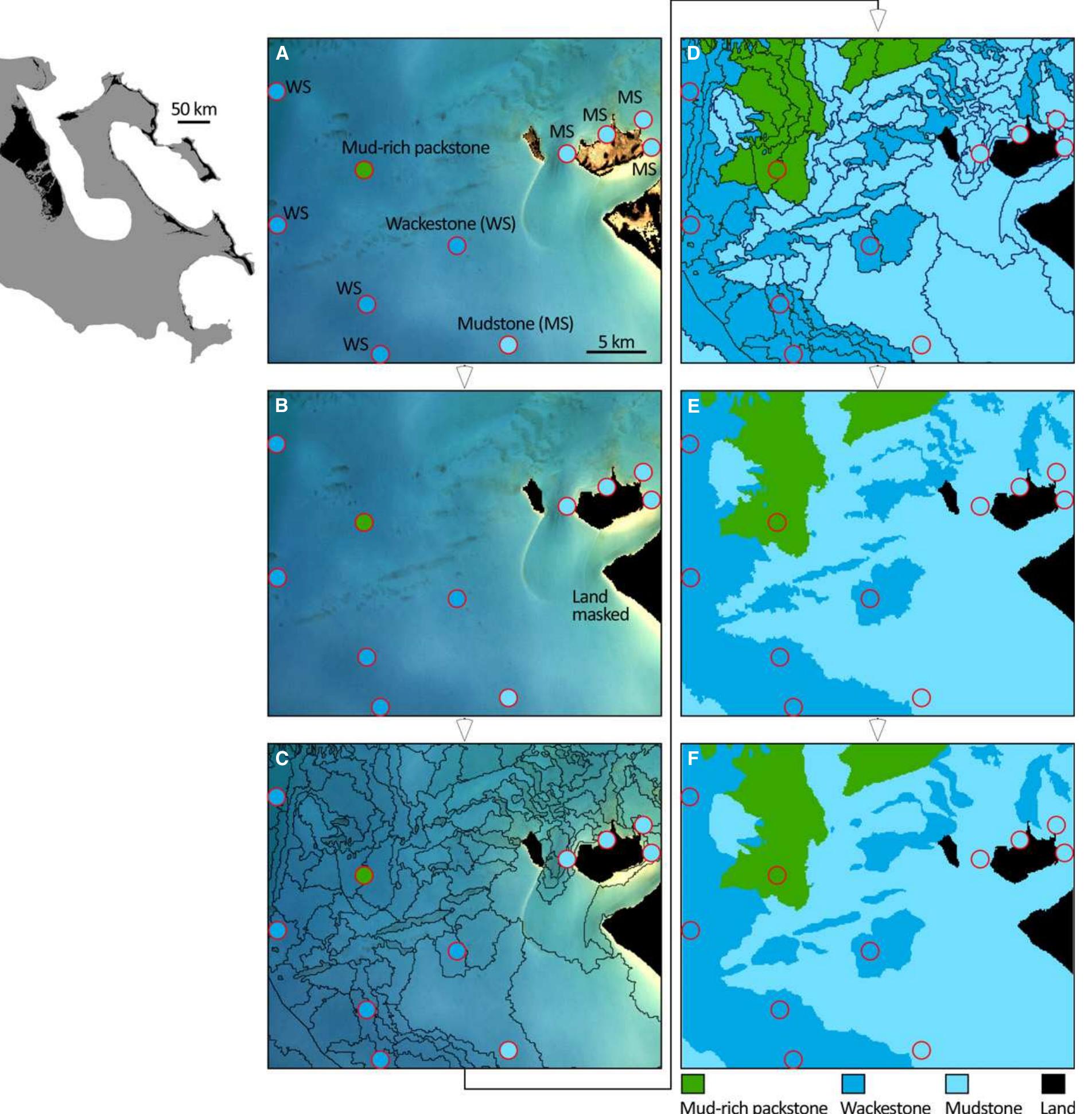 Workflow for the creation of the facies map: (a) gps-located