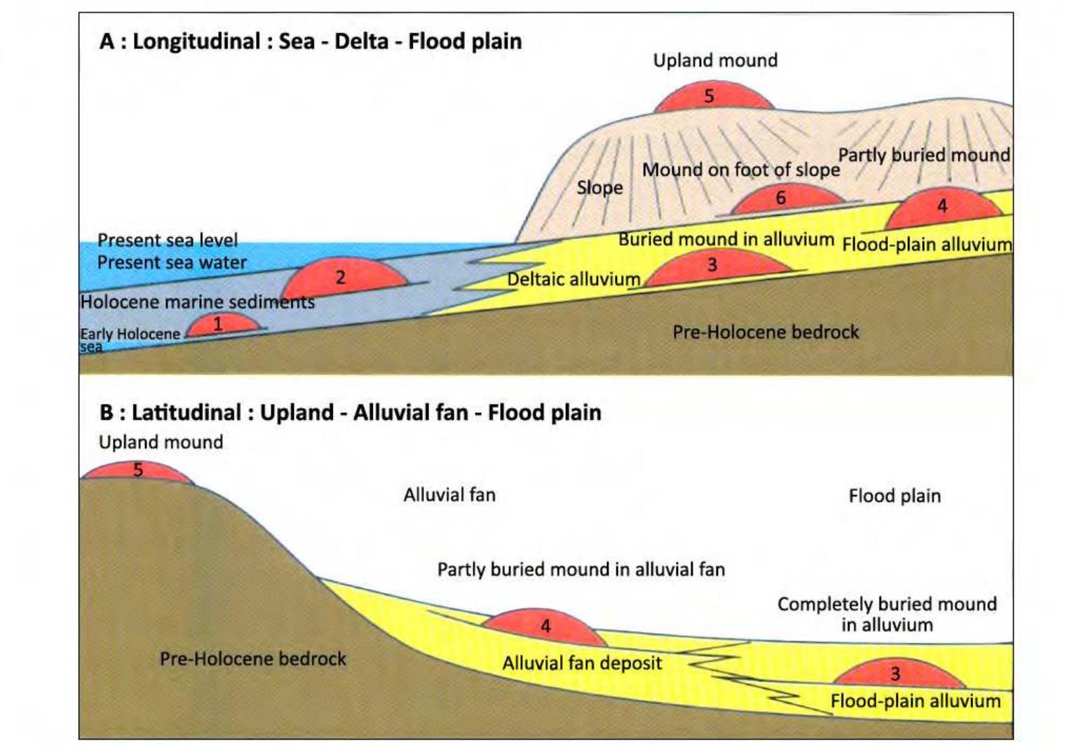 In low coastal zones morphological processes work faster and