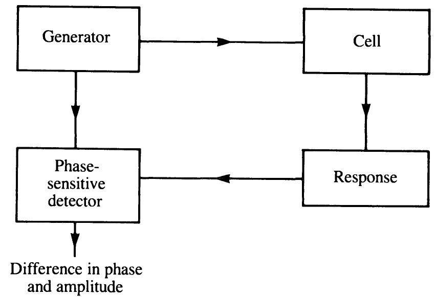 2. principle of functioning of a phase-sensitive detector.