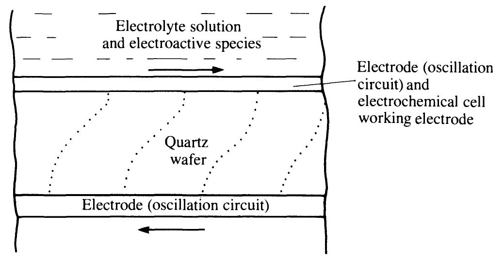19. design of the quartz crystal microbalance for