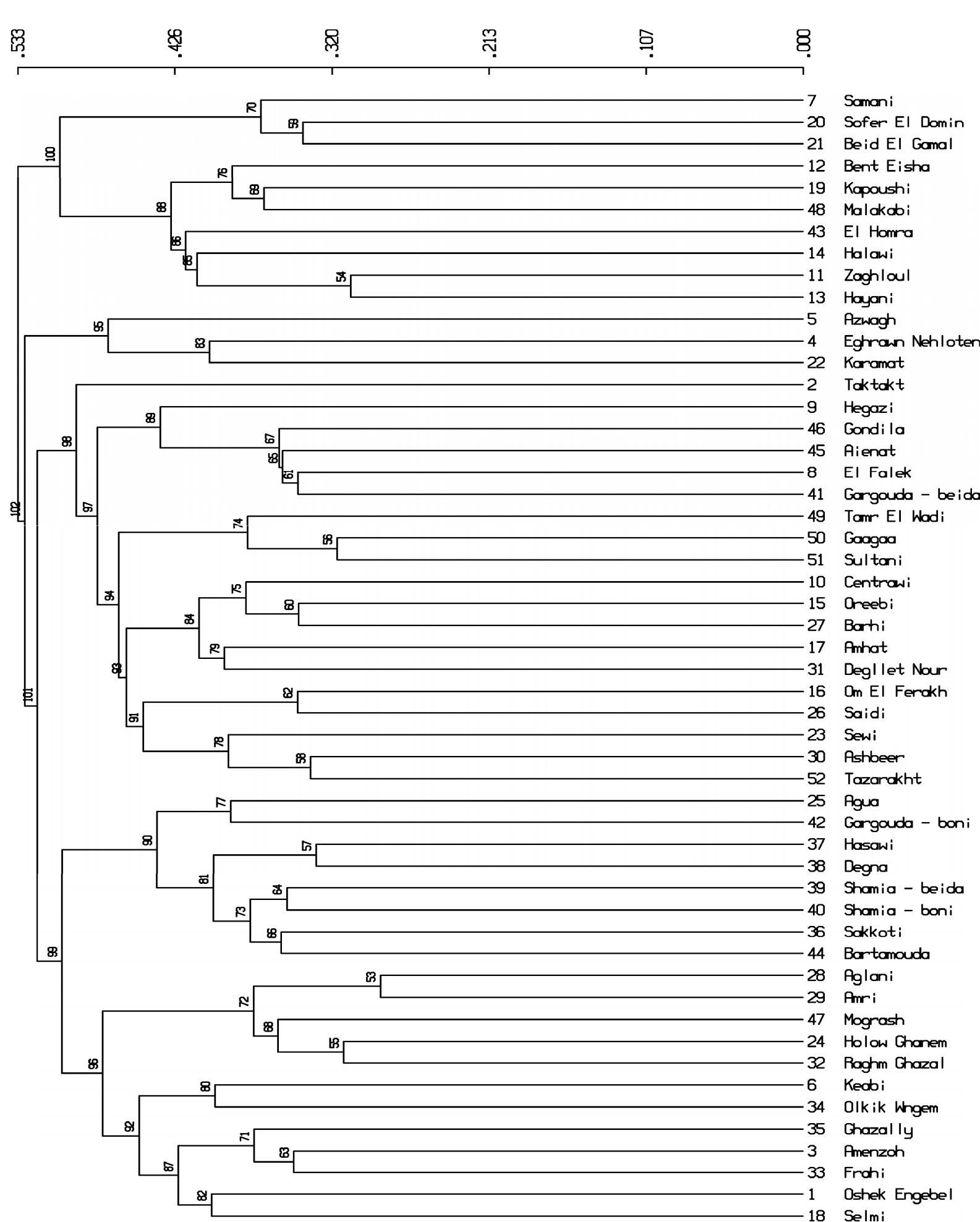 Figure 3 - Morphometric Taxonomy of Date Palm Diversity