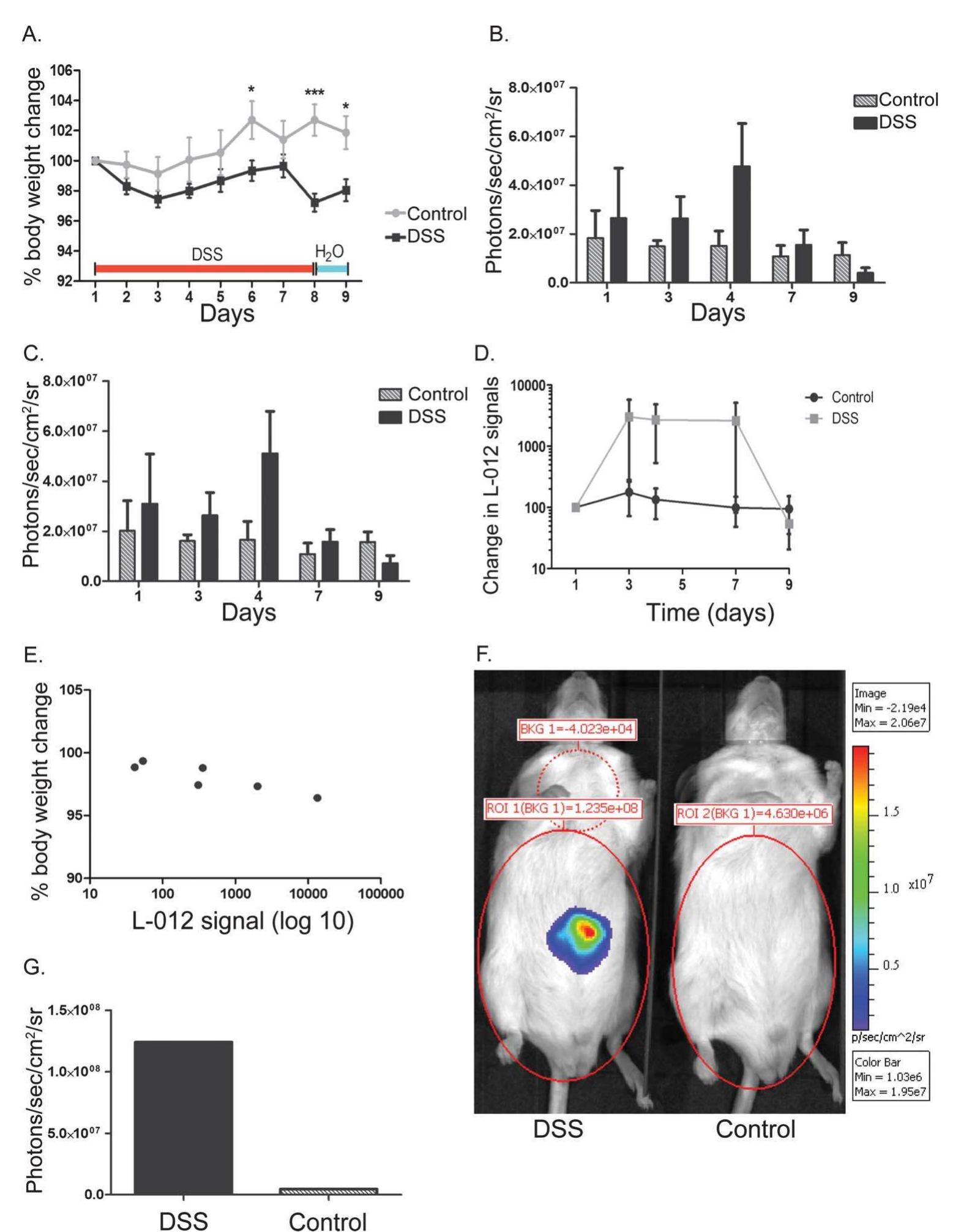 Early detection of dss-induced colitis using the l-012