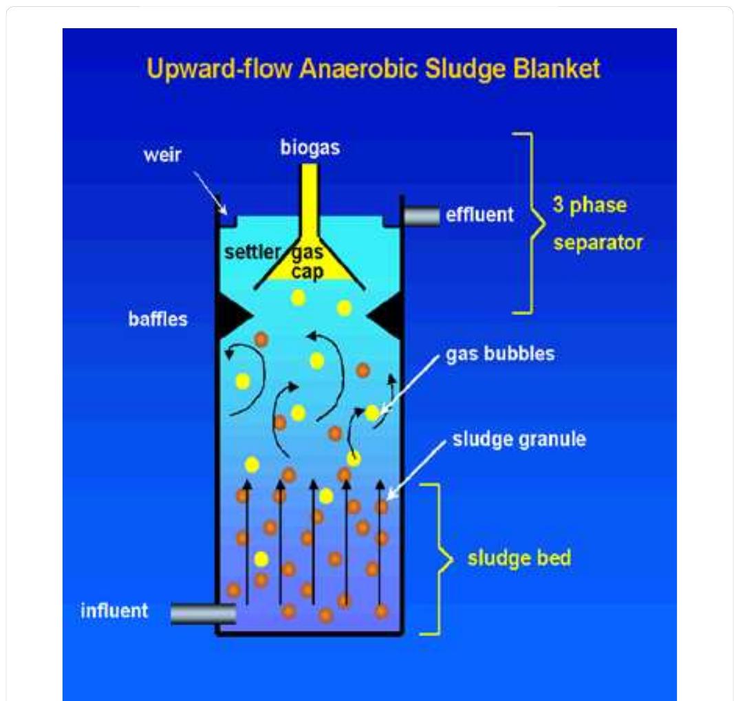 The upward-flow anaerobic sludge bed (uasb) reactor concept.