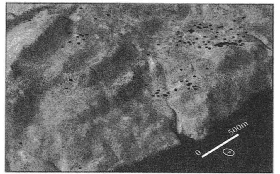 3. quickbird imagery draped over a digital elevation model