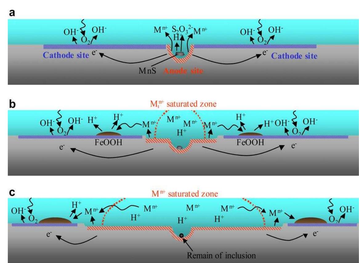 - schematic of pitting corrosion mechanism under thin