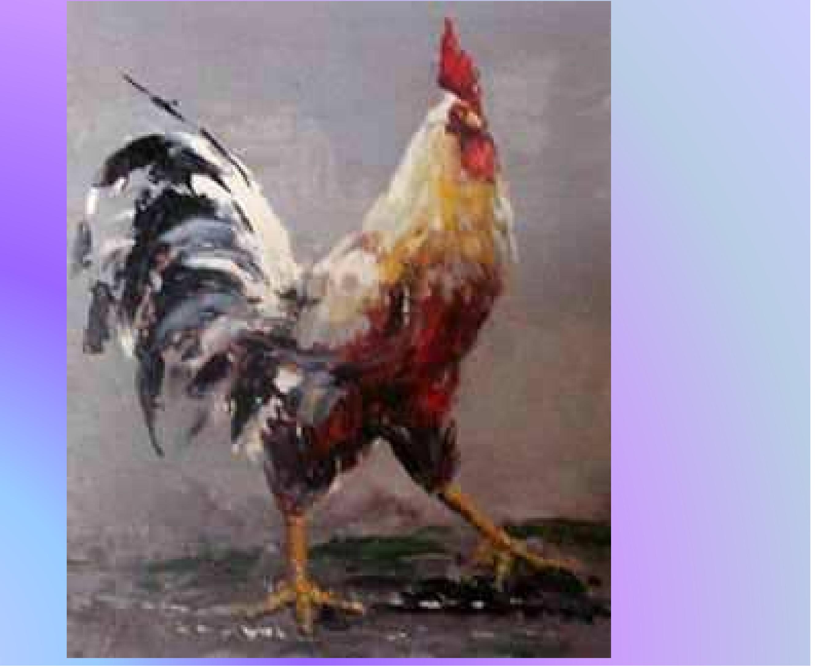 Figure 16 - THE SUBJECT OF ART Meanings, Kinds and Functions Figure 16 - THE SUBJECT OF ART Meanings, Kinds and Functions