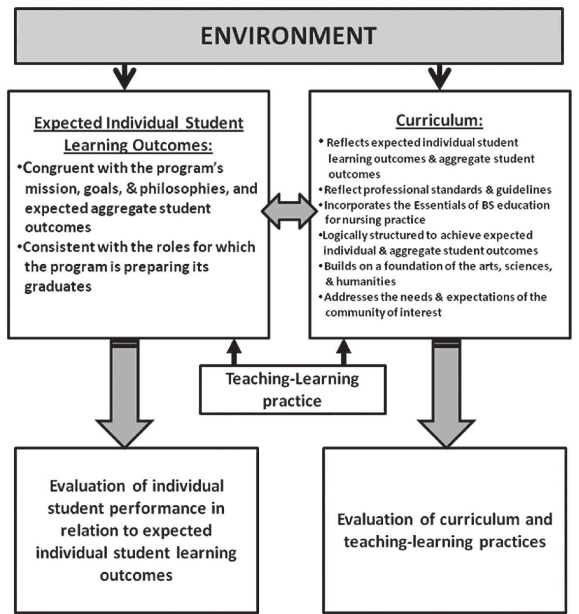 The frame of curriculum development representing the