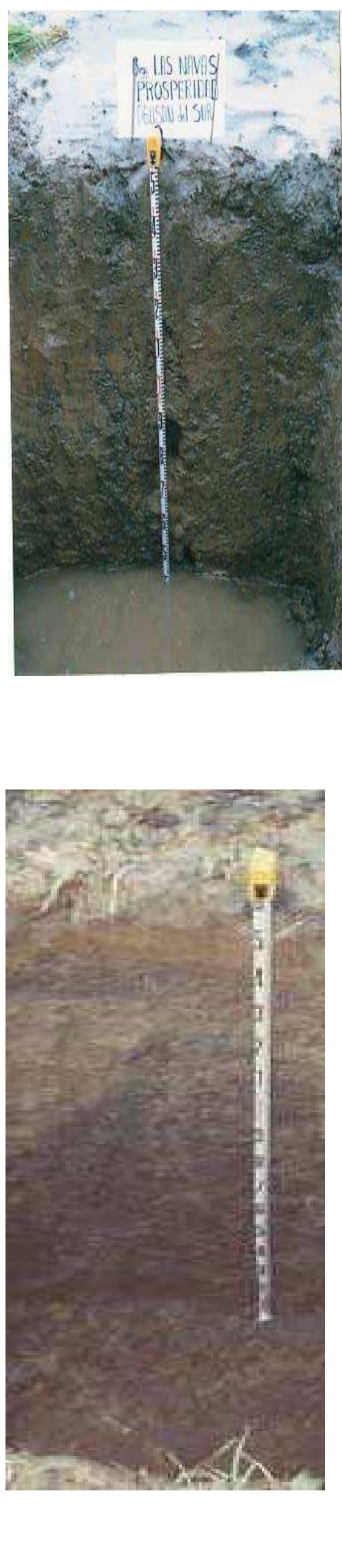 Figure 4 - SOIL FERTILITY MAPPING