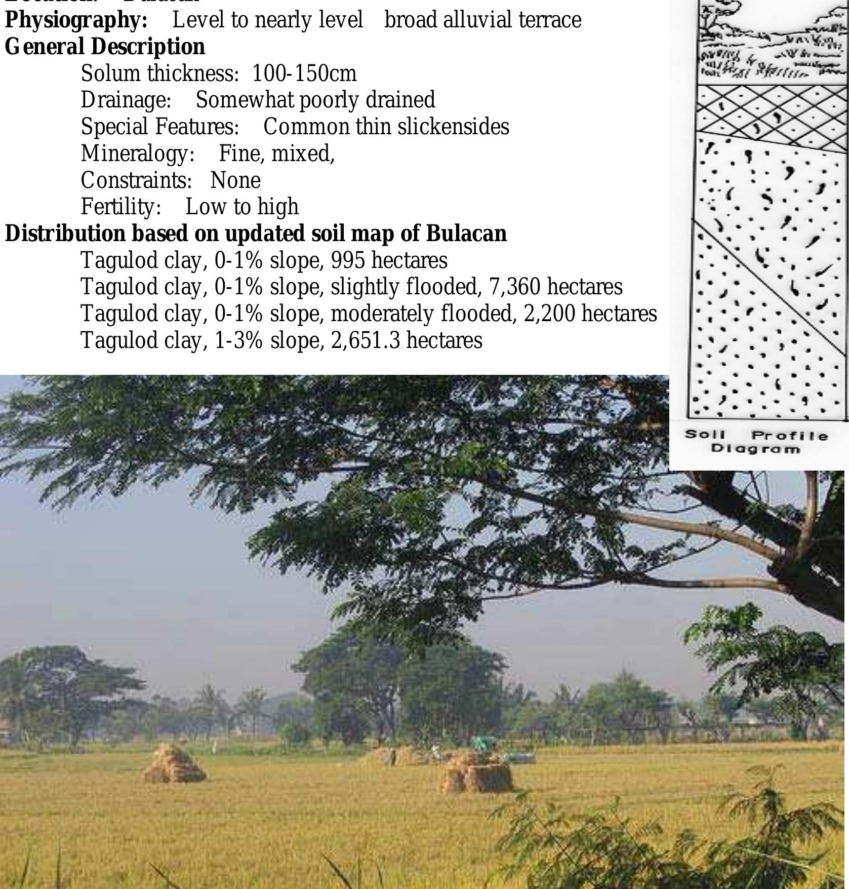 Figure 10 - SOIL FERTILITY MAPPING
