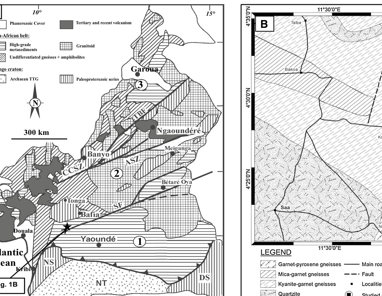 A geological map of cameroon (adapted from ngnotue et al.