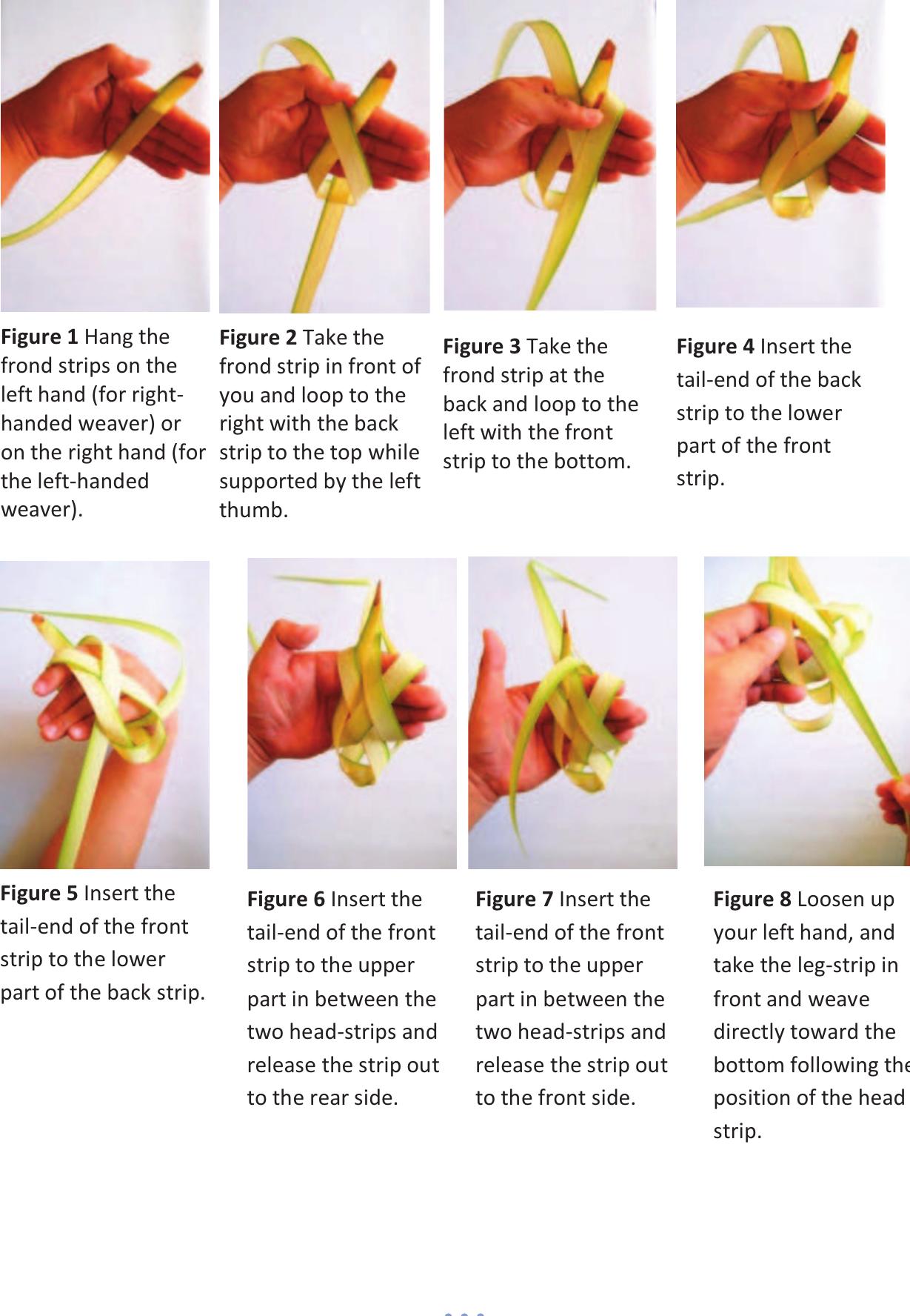 Dumpol/pudol/tinigib braiding procedure