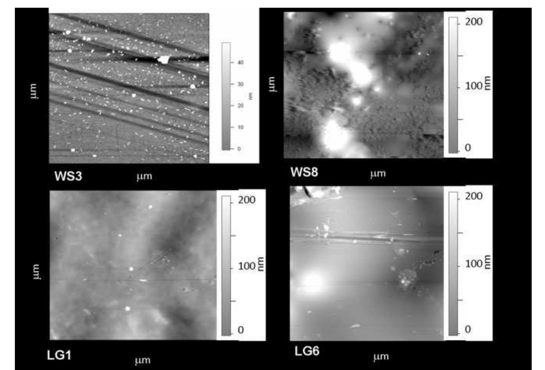 2d afm images registered for a 50 x 50 um? scale for 4 areas