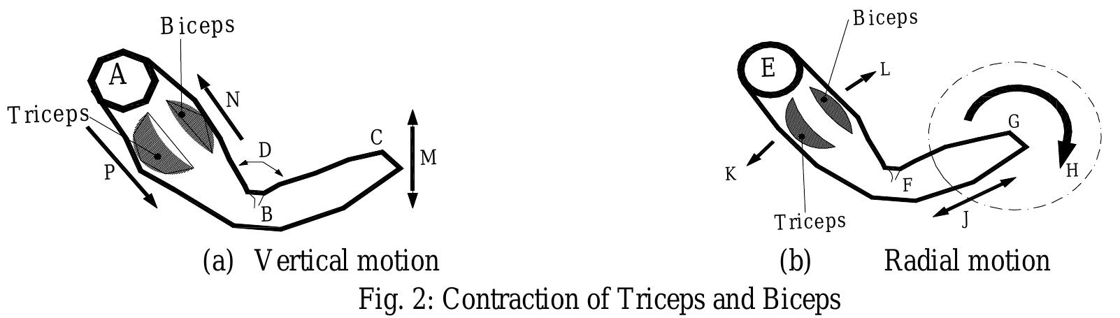 The hands in fig. 2 (a), (b), are pivoted at point a and e