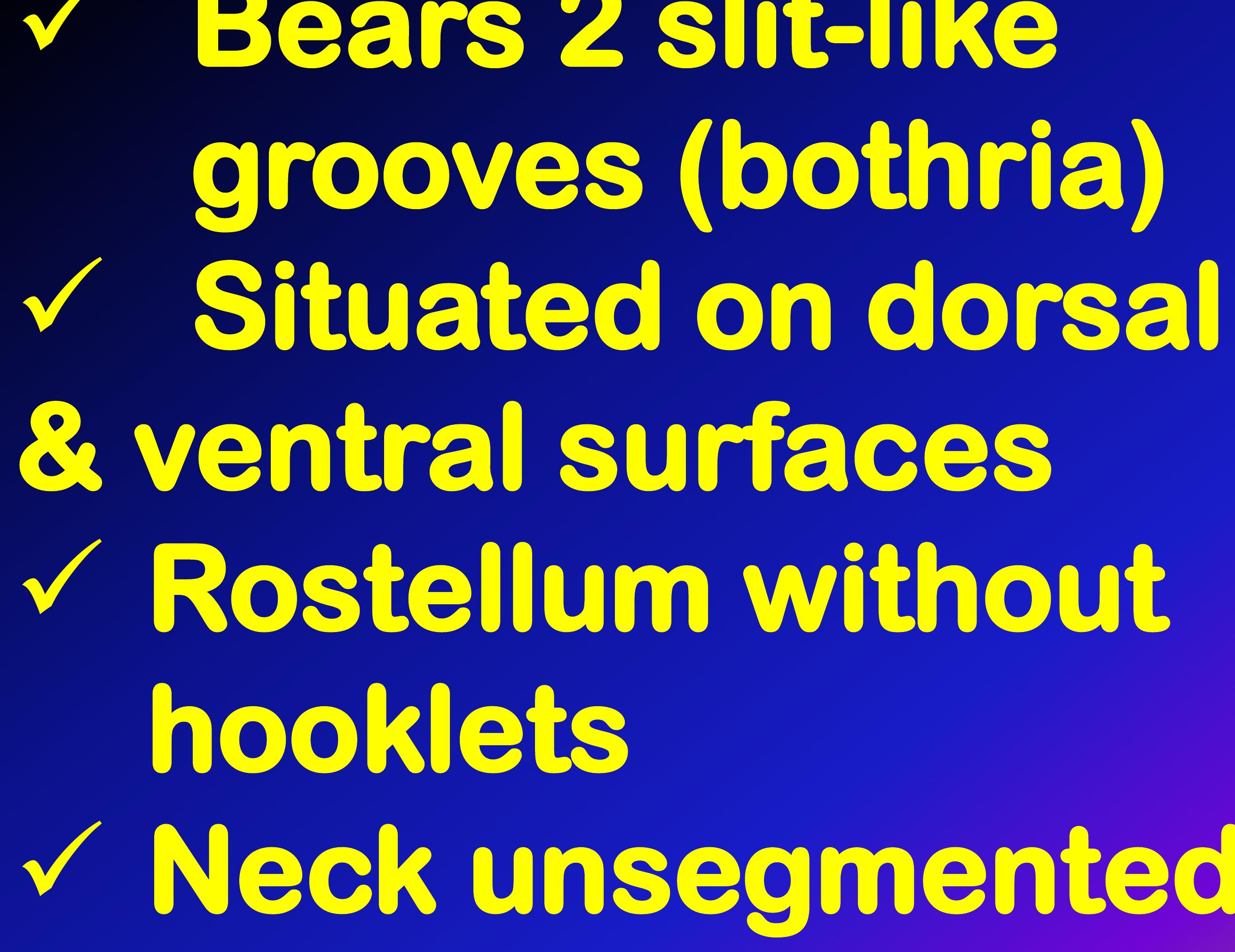 (PDF) Diphyllobothrium latum