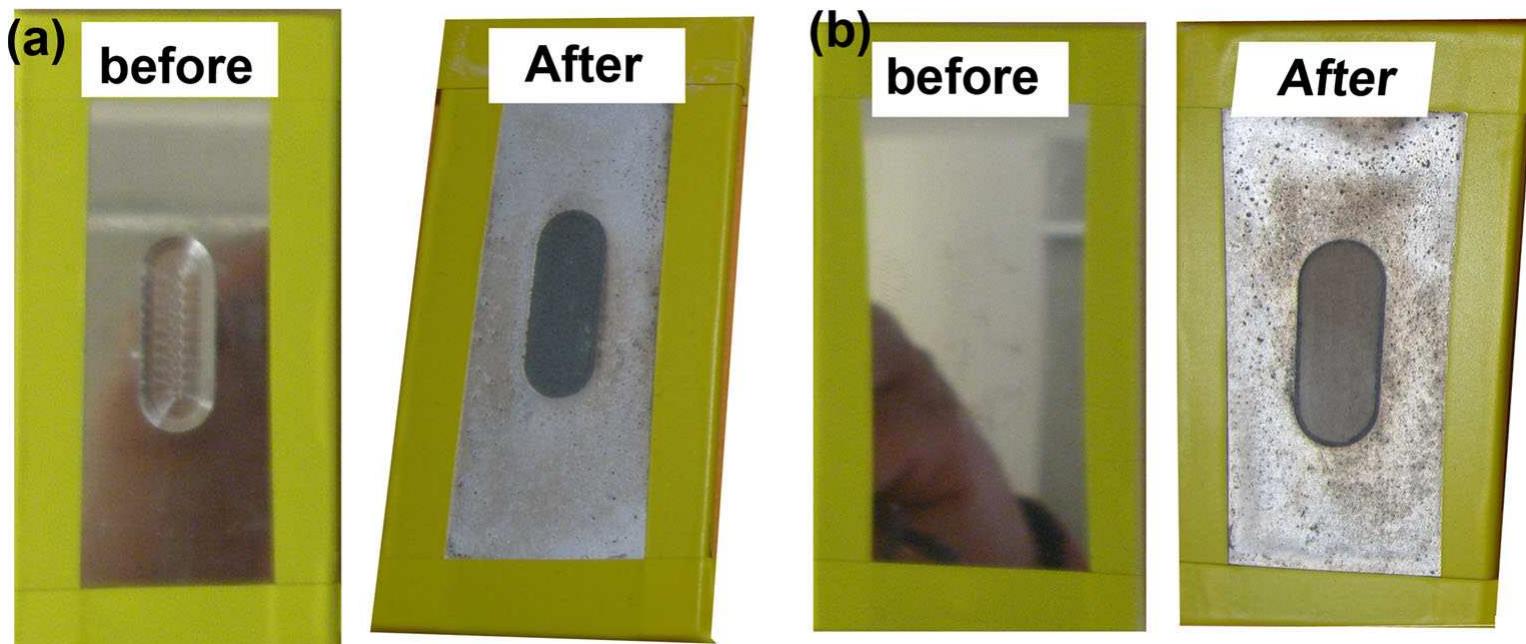 Images of coupons before and after alternate 480 h immersion