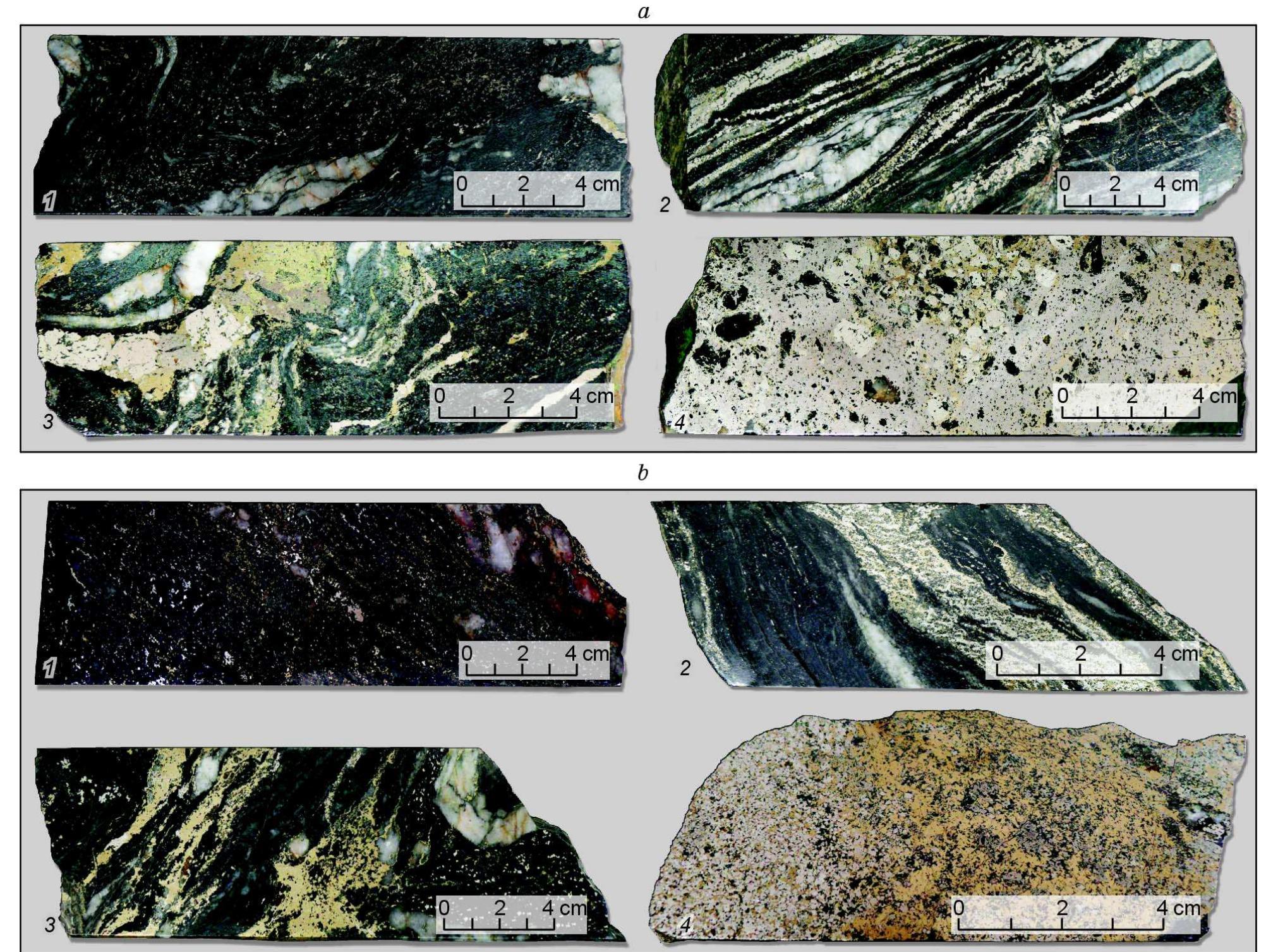 Textural types of the ores in the central (a) and