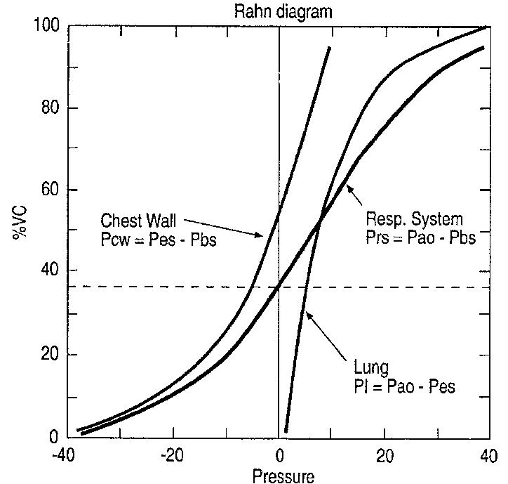 The rahn diagram shows the pressure-volume relationships of
