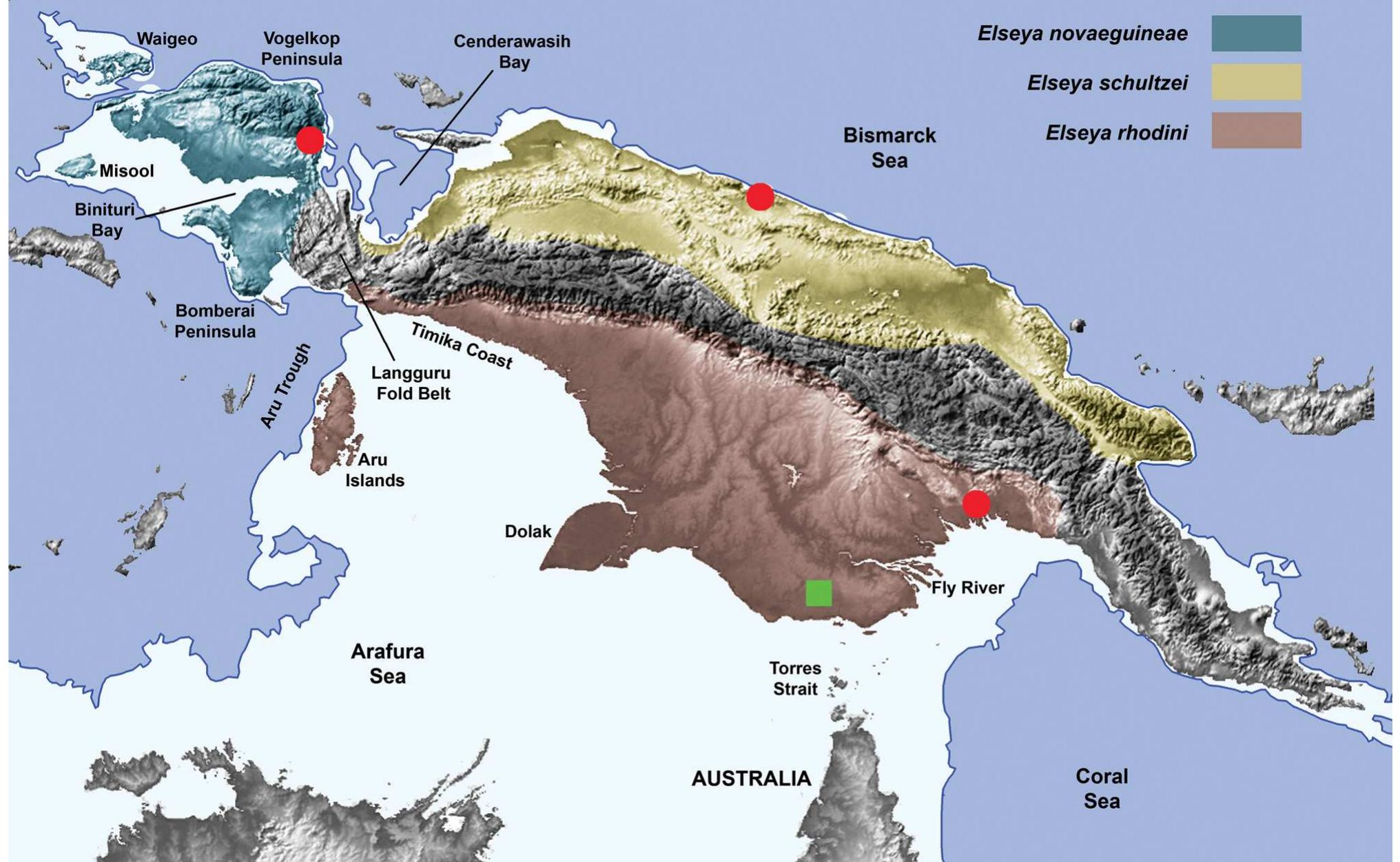Map of new guinea showing the distribution of elseya