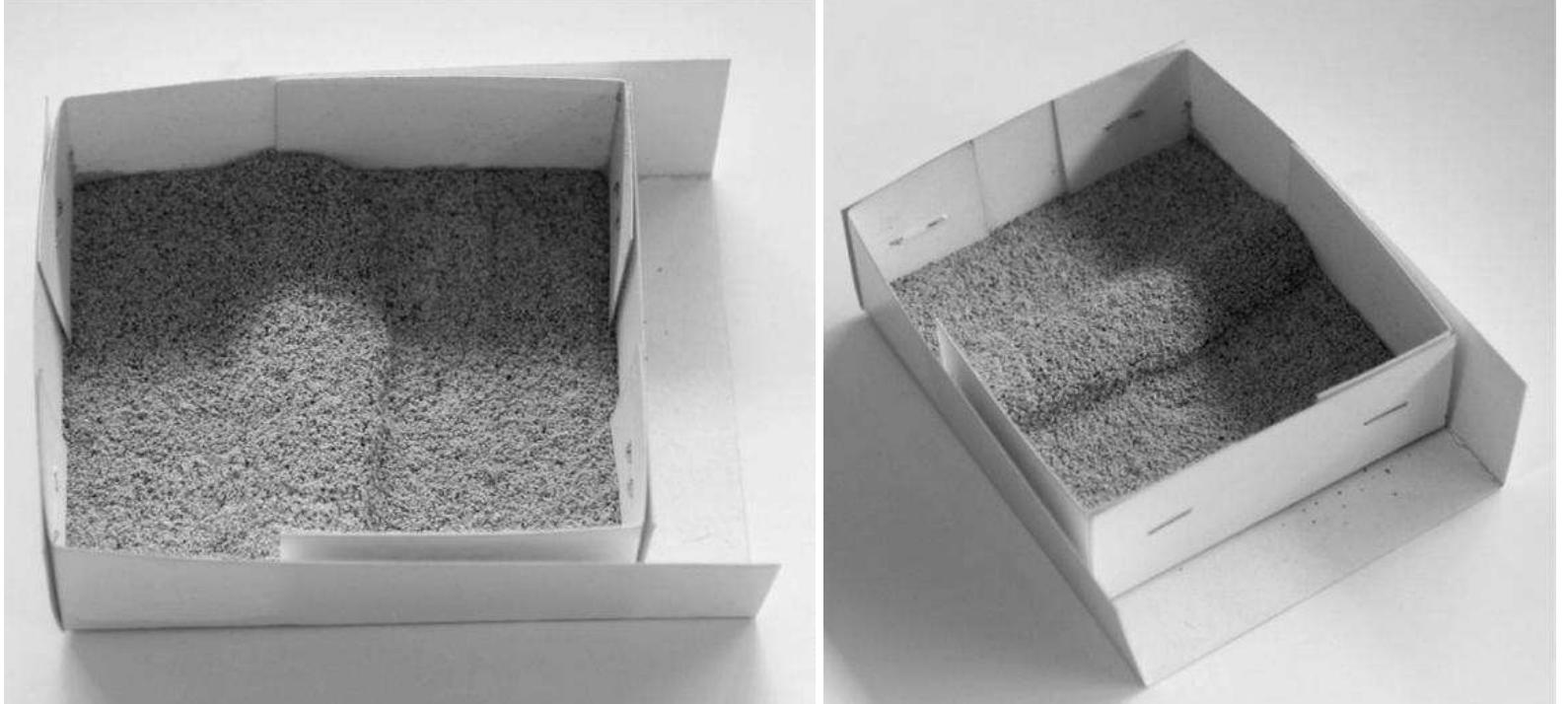 (left) a tiny hump is formed in the sand. (right) the hump