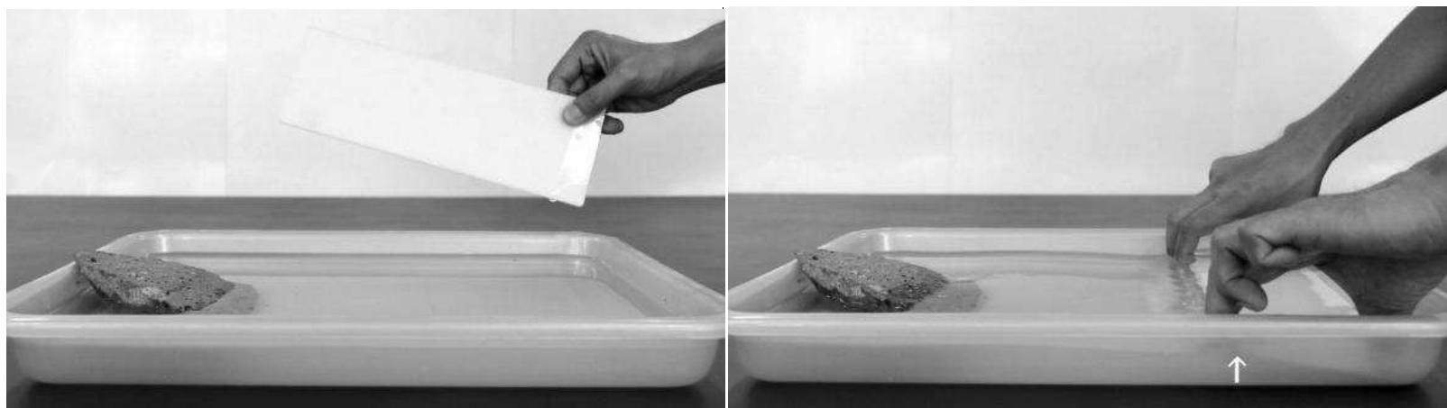 (left) setup for the tsunami activity. (right) the plastic