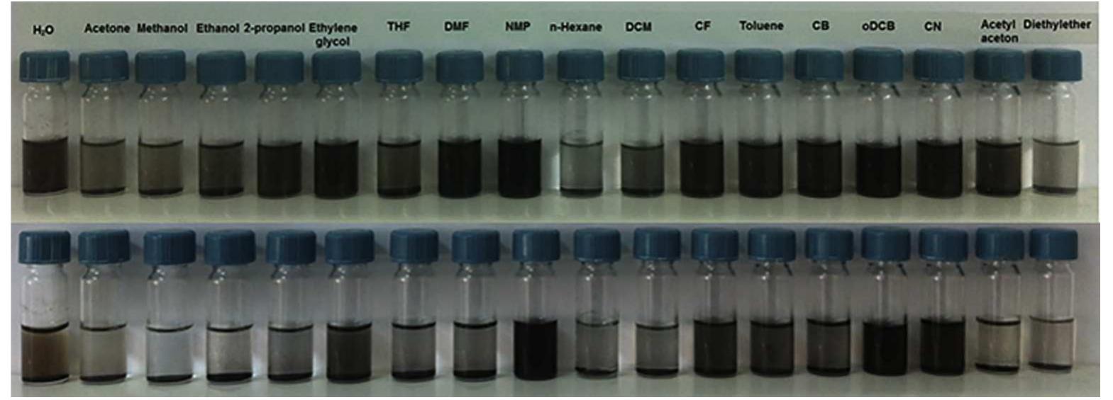 Digital picture of rgo dispersions in 18 different solvents.