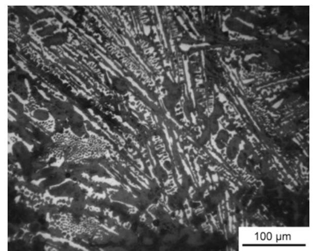 Optical micrograph of the centre of the cannonball, in which