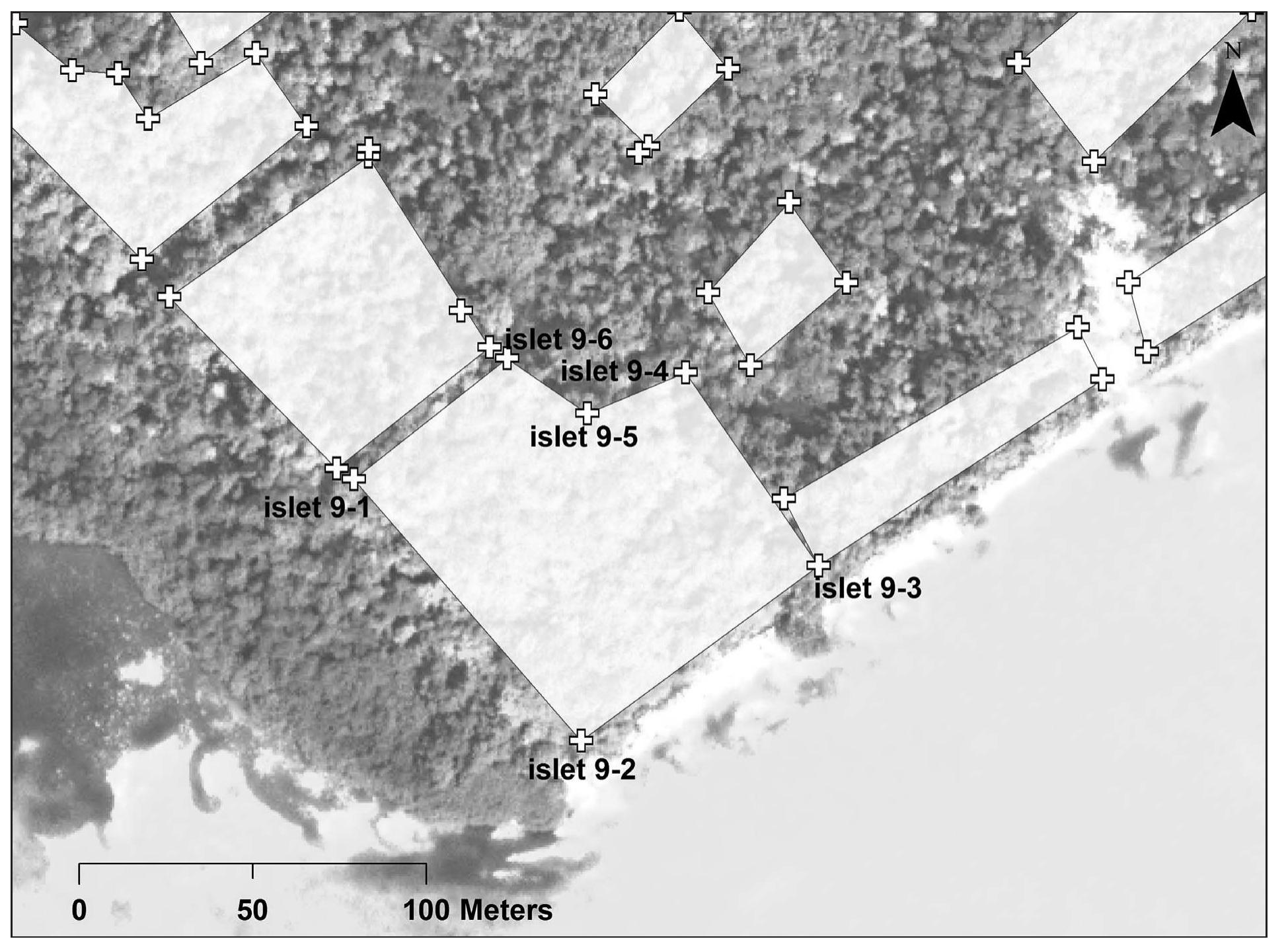 Examples of raw gps points used to create gis polygons layer