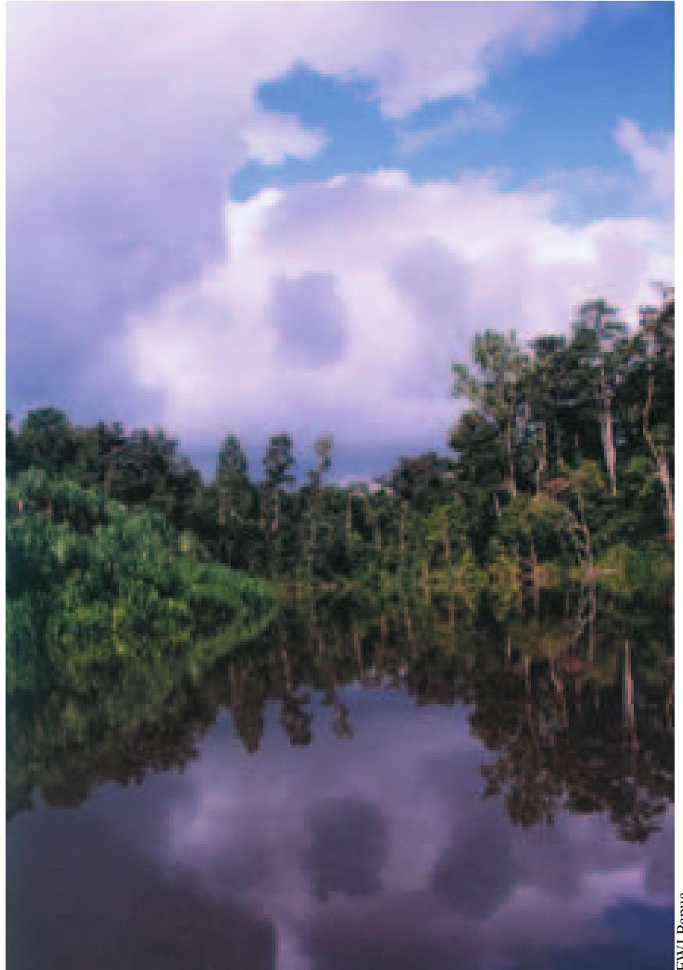 Figure 7 - The State of the Forest: Indonesia [Data dan