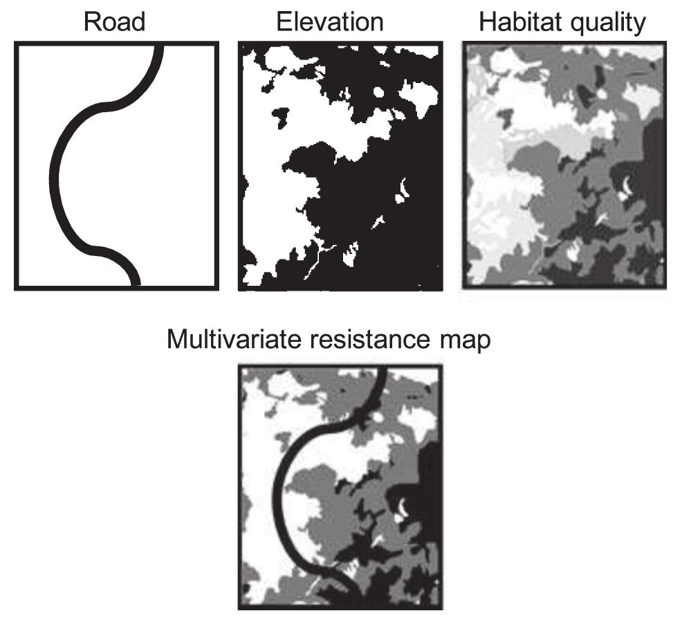Cumulative resistance map of the resistance values of