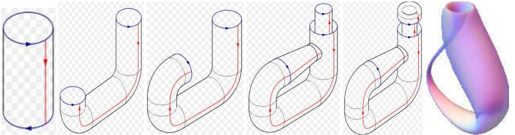 [a] : to turn a rectangle into a mobius strip (presented at