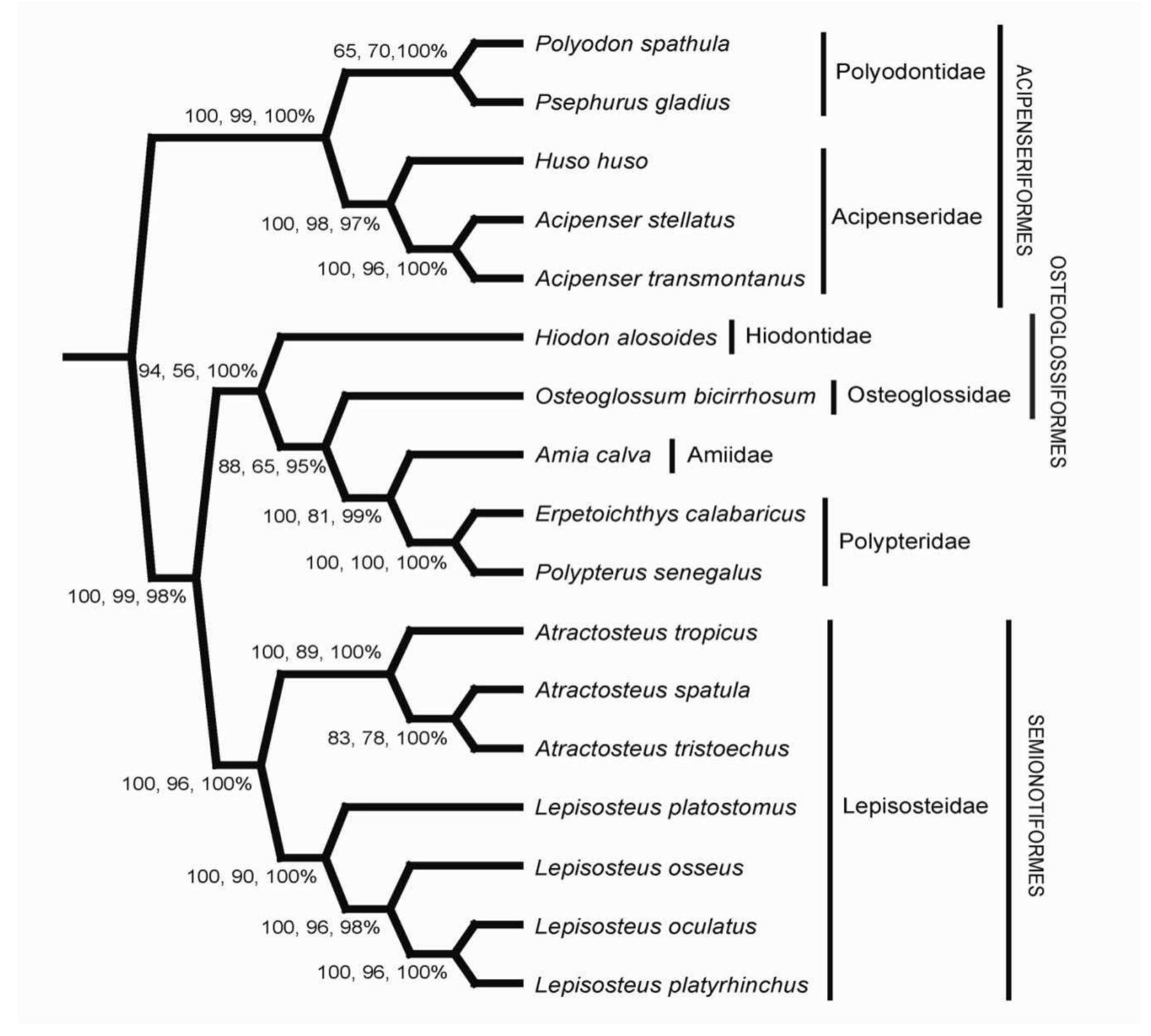 Figure 7 - HISTORIA POBLACIONAL CONTEMPORANEA DEL