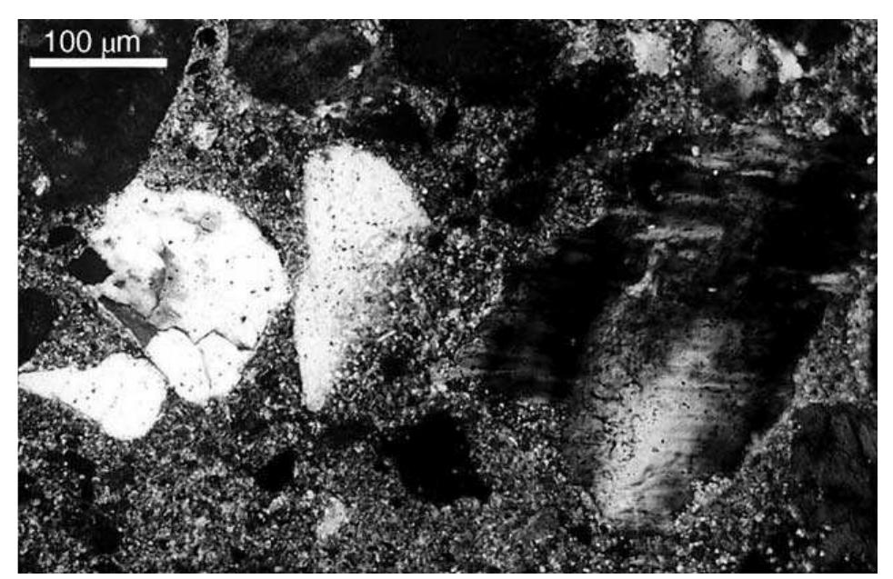 Photomicrograph (crossed nicols) of a thin section of snc