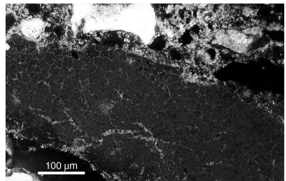 Photomicrograph (crossed nicols) of a thin section of rnc